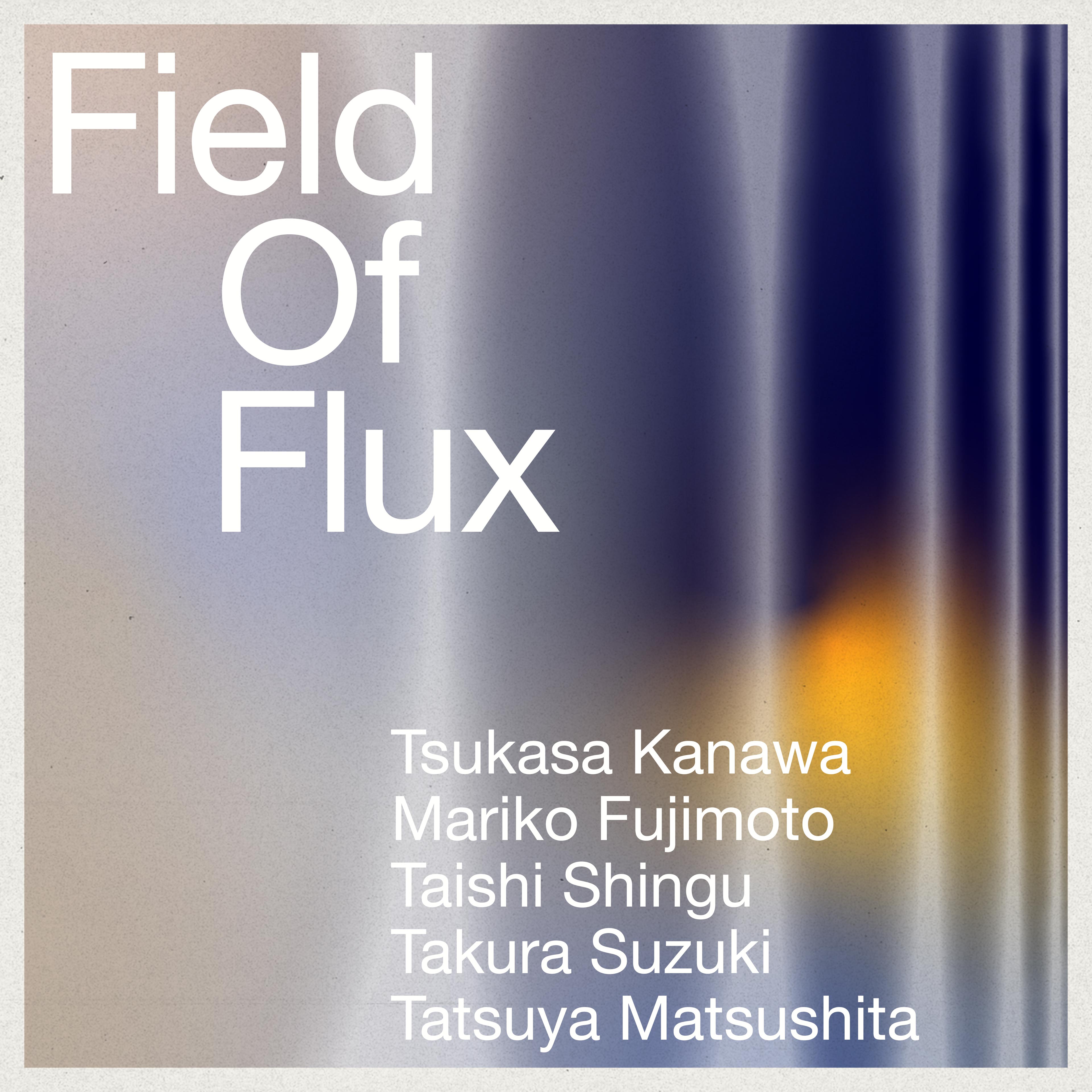 Field of Flux | N project